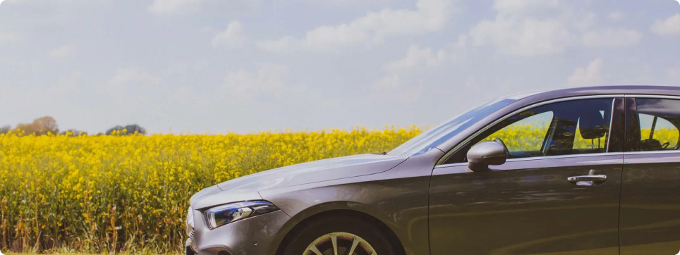 Small Car Rental | Yelo